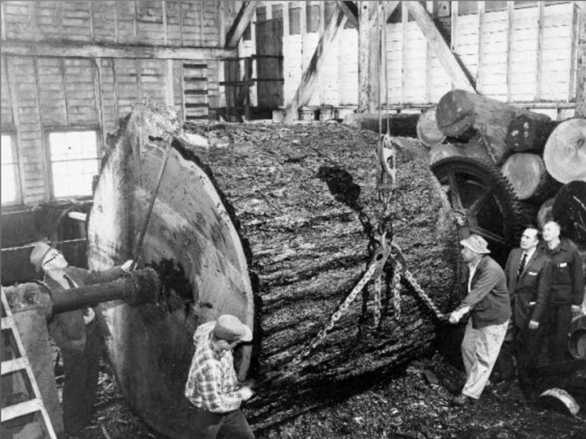 Opportunity Threads – Morganton, NC – Becoming Employee Owned